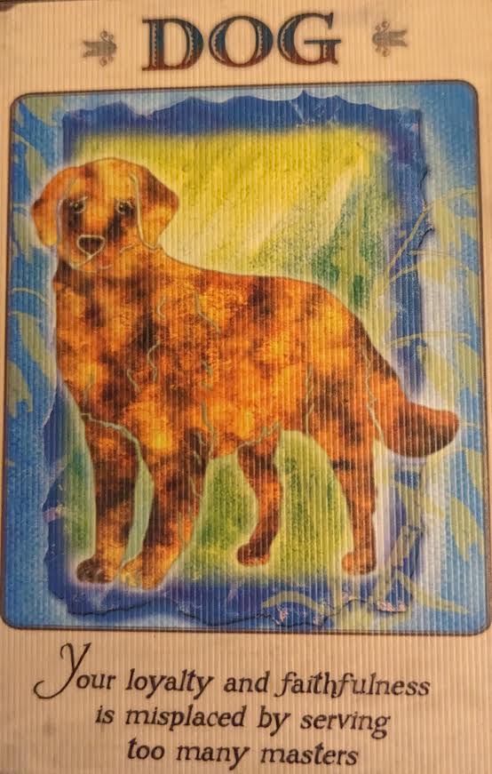 WEEKLY SOUL ENERGY REFLECTION- March 6, 2023 – March 12, 2023-Animal ...